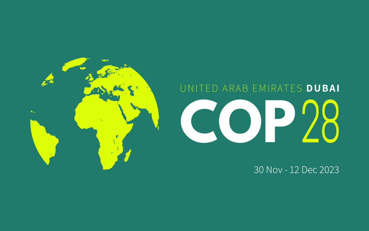 Crafting a Sustainable and Inclusive Energy Transition: Insights from ...